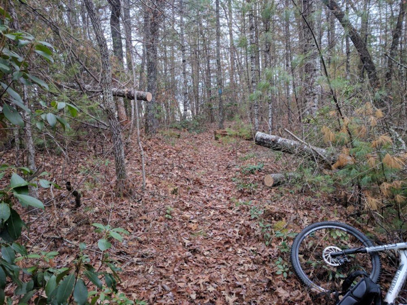 Hanging Dog Recreation Area Reopens - The Southern Appalachian Bicycle ...